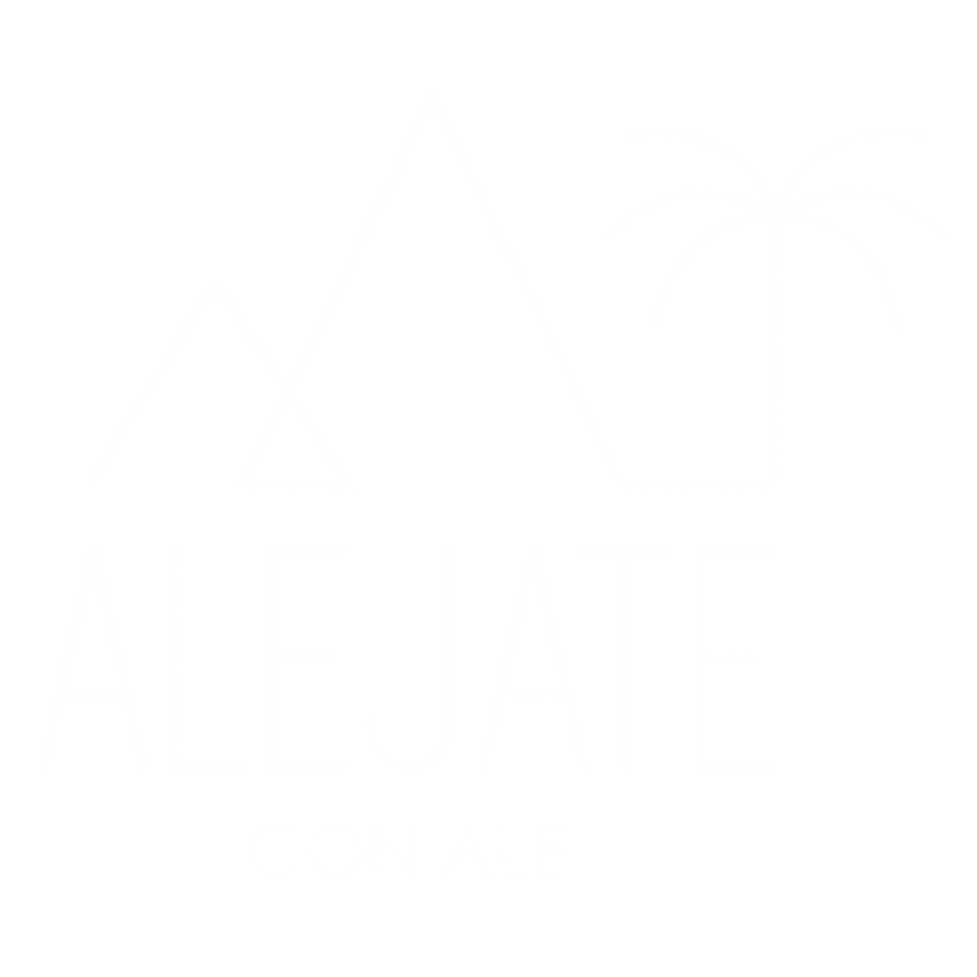4 Playas Paradisíacas en 1 día – Alejate con Ale